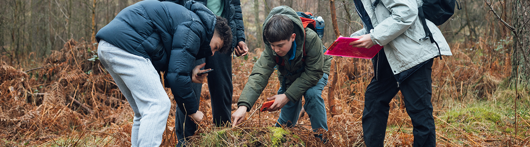 Forest School Qualifications | ITC First - The Awarding Organisation that Cares