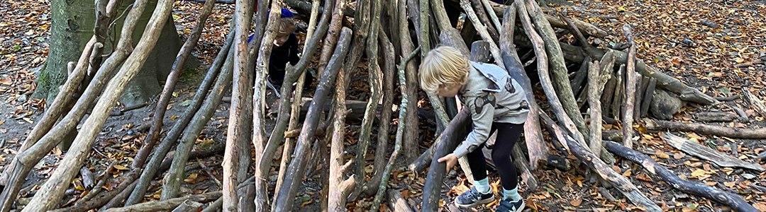 ITC Level 1 Award in Forest School Ethos and Principles | ITC First - The Awarding Organisation ...